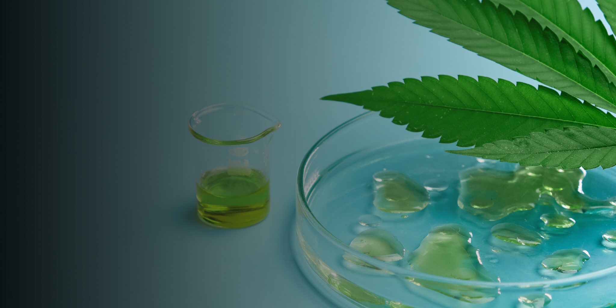 California Cannabis Testing Labs (CCTL): Reliable Testing Laboratory ...